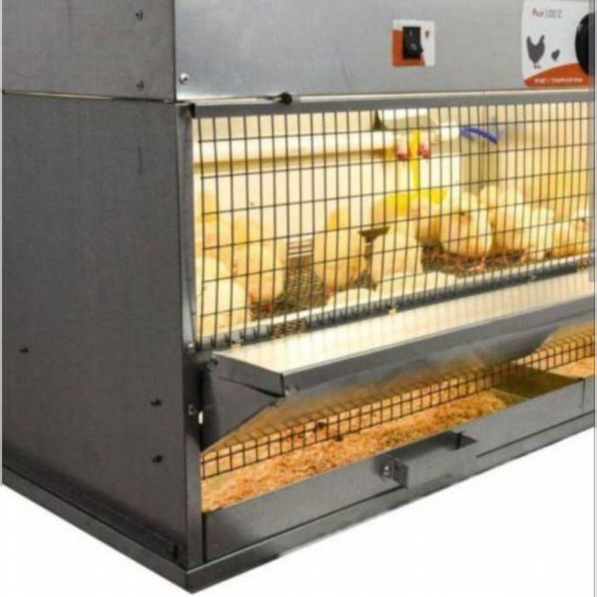 Брудер для цыплят бу Красноярск