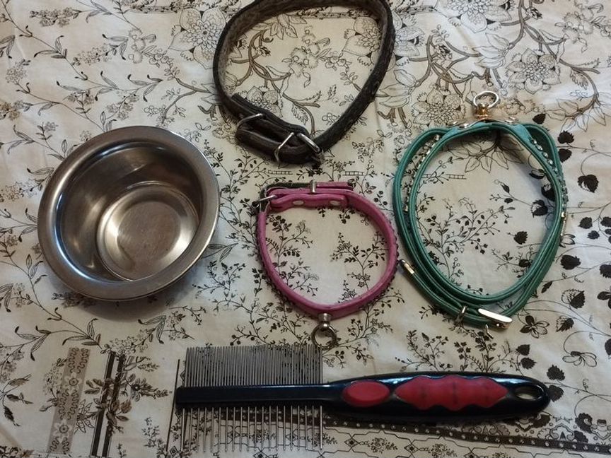 Ошейники,миска,расчёска
