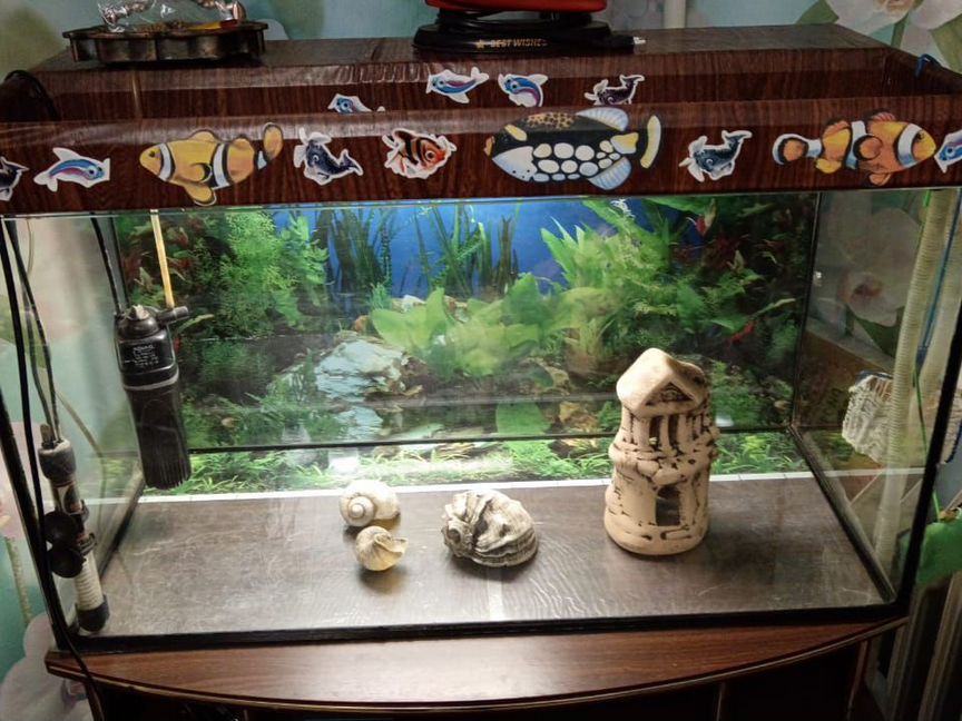 Аквариум террариум