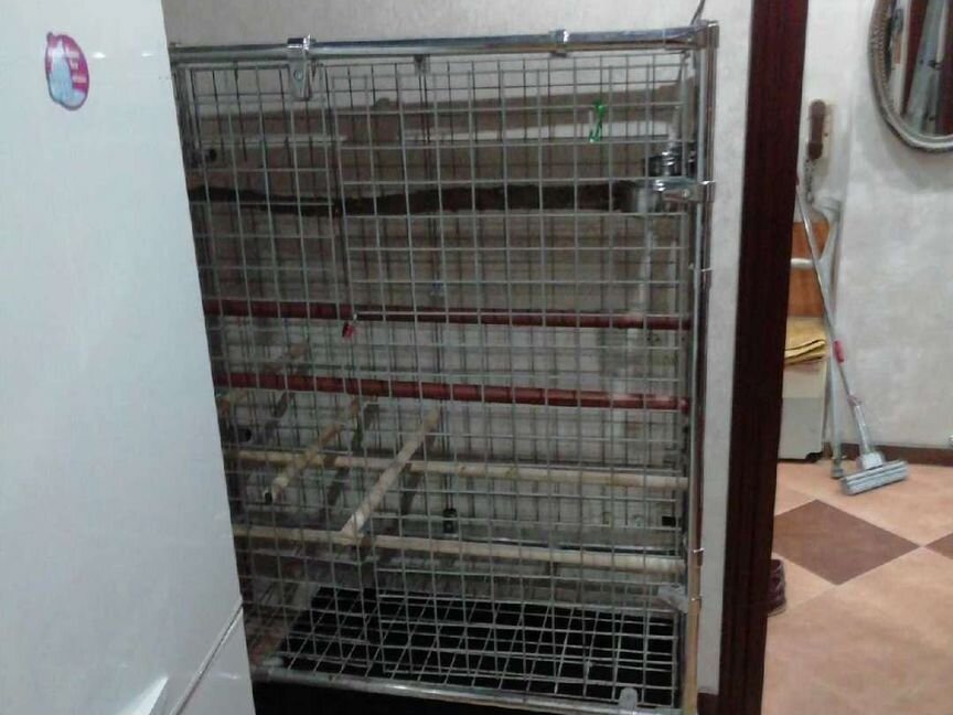 Вольера для попугая