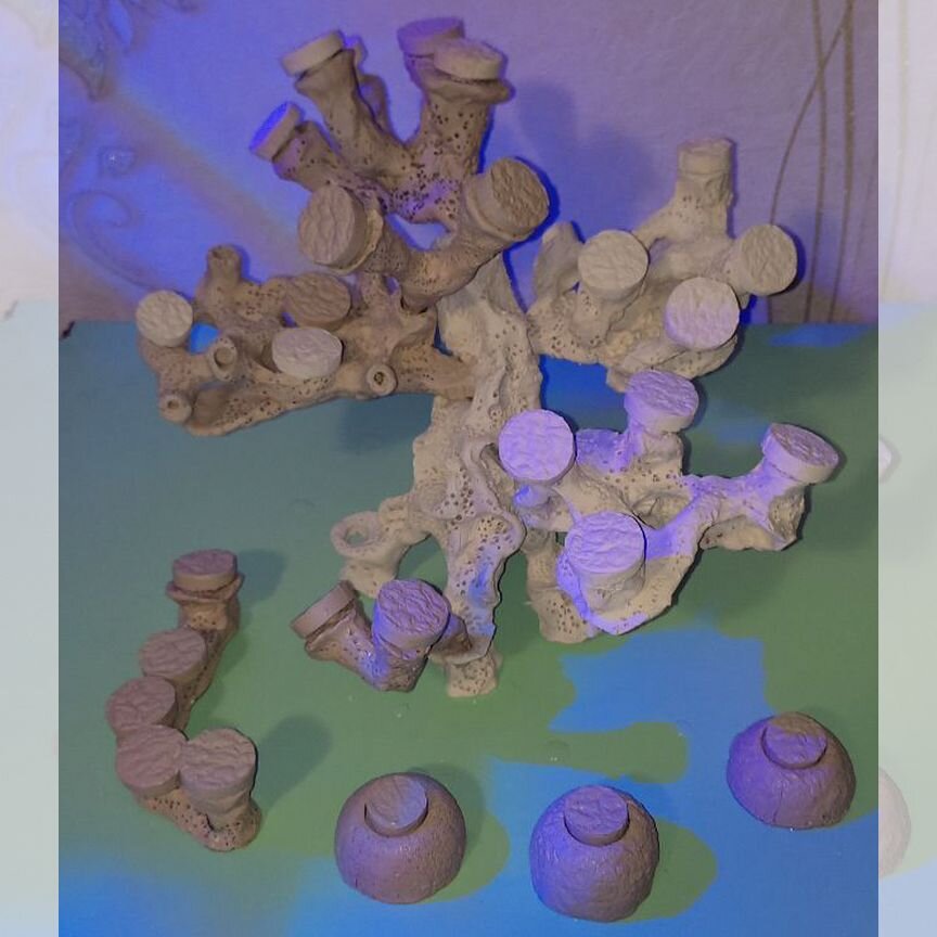 Биокерамика в морской Аквариум