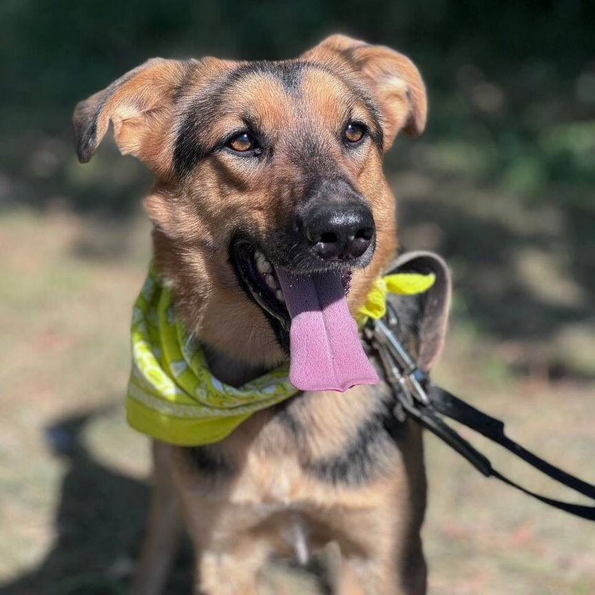 Флору нужно спасать