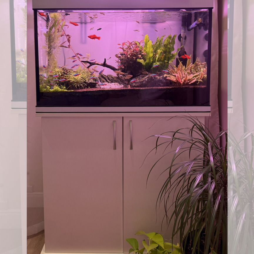 Аквариум 100 литров с тумбой