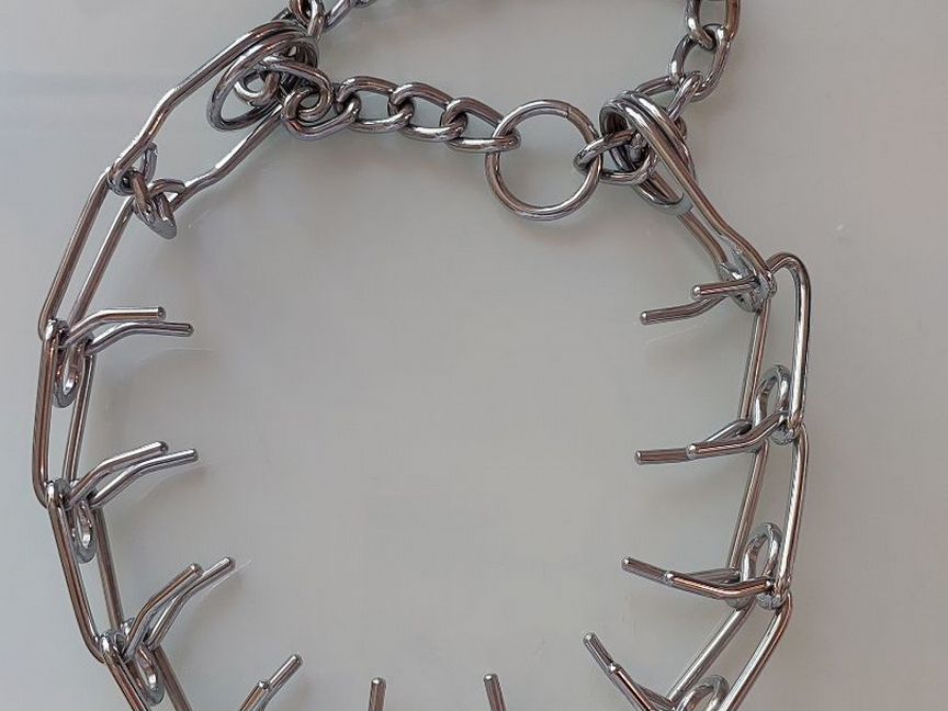 Строгий ошейник для собак