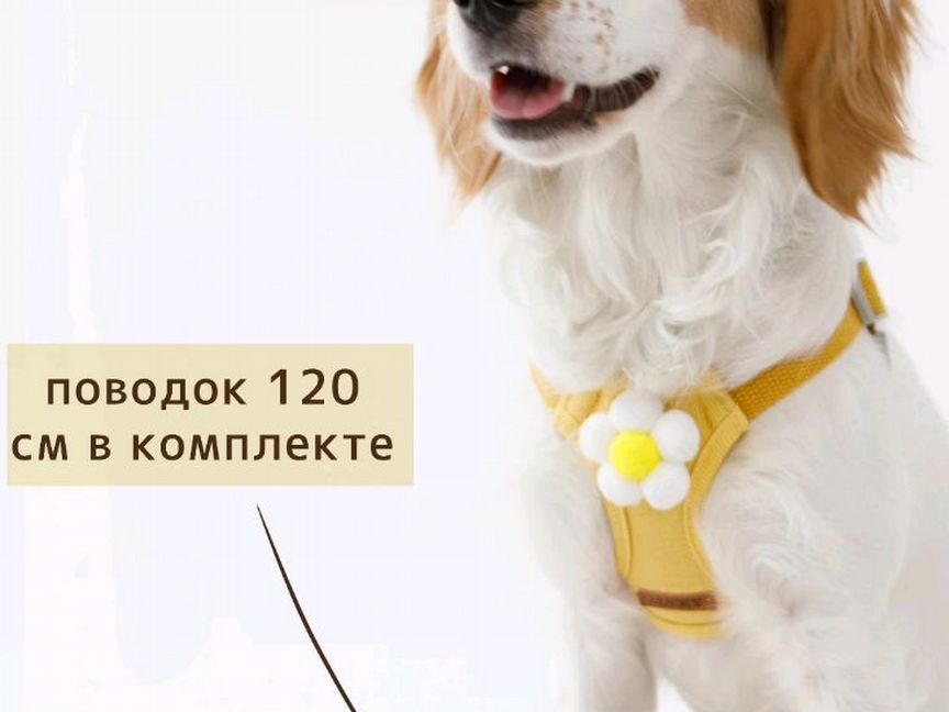 Шлейка для собак и кошек