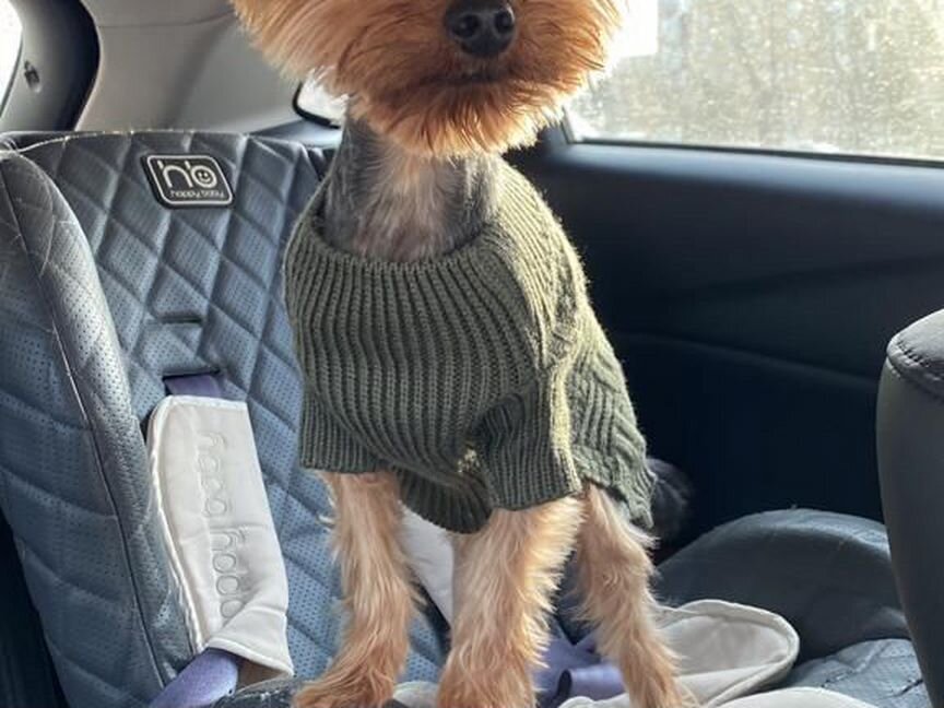 Ищем подружку