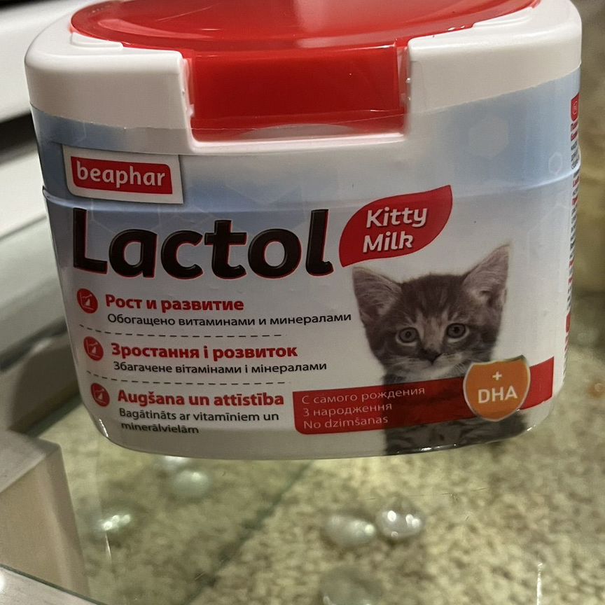 Lactol смесь для котят