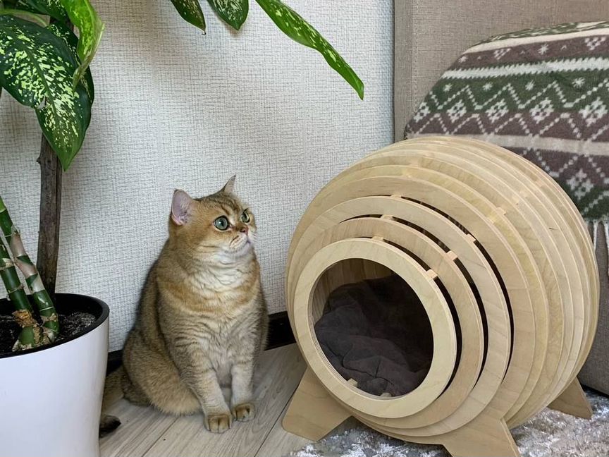 Домик для кошки с лежанкой