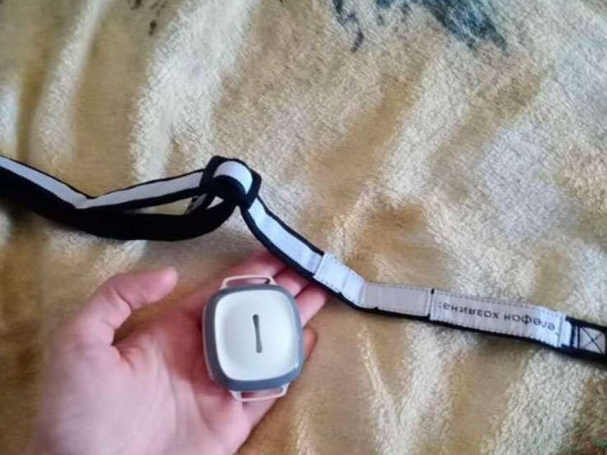 Умный ошейник