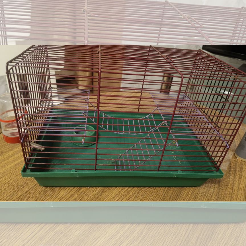 Клетка для грызунов бу