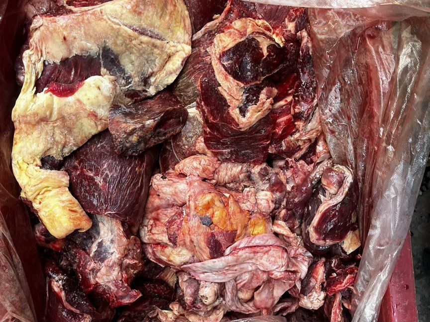 Отходы забойного пункта мясо для собак