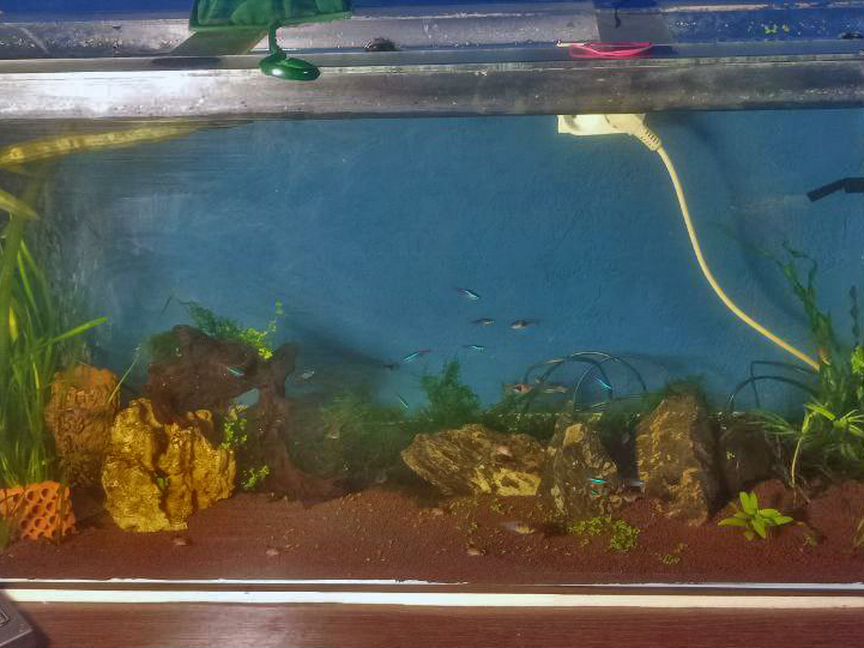 Аквариум 120 л