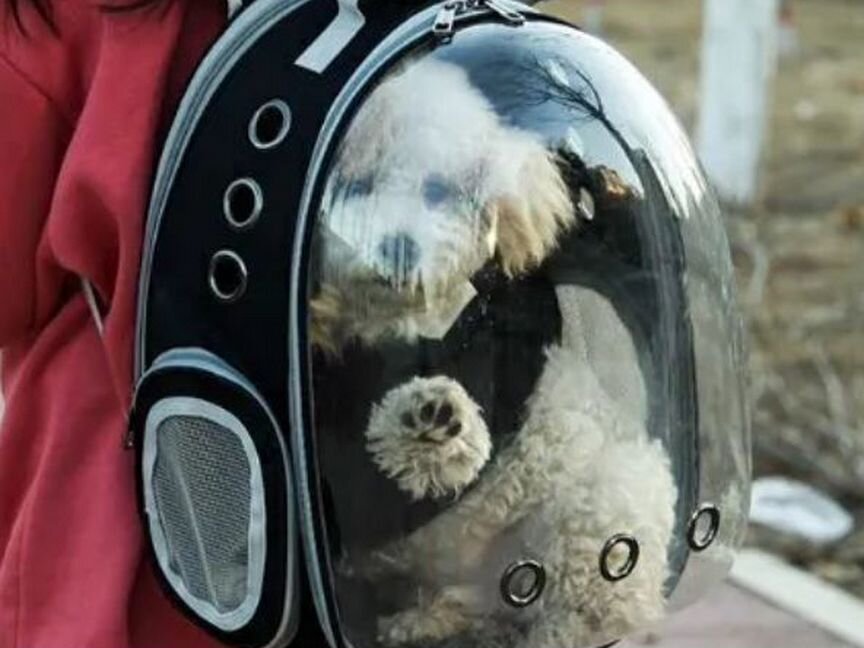 Рюкзак-переноска