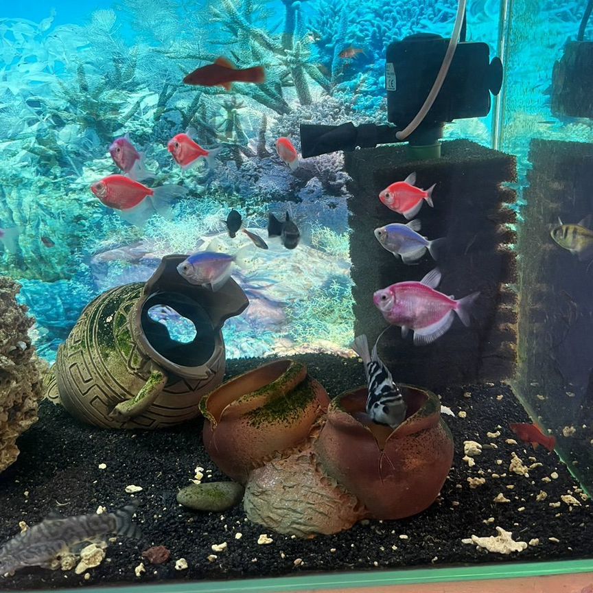 Аквариум в сборе