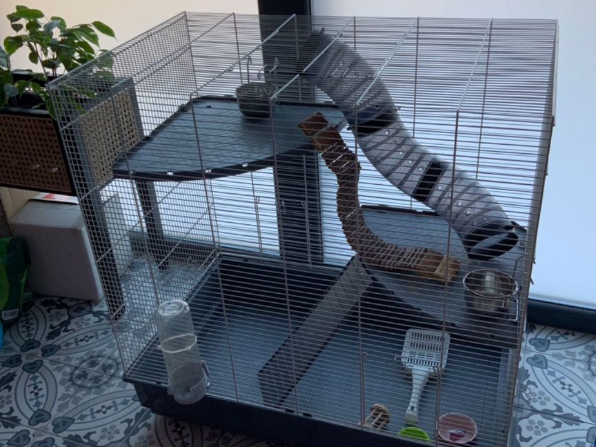 Клетка для грызунов(крыс) Ferplast Jenny