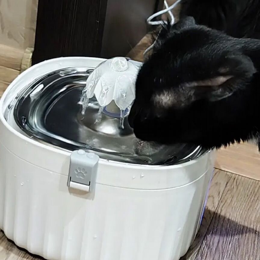 Фонтан поилка для кошек