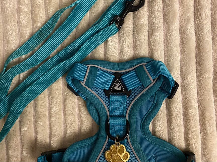 Шлейка для собак мелких пород