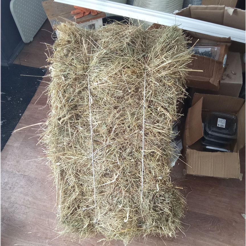 Сено люцерны в тюках