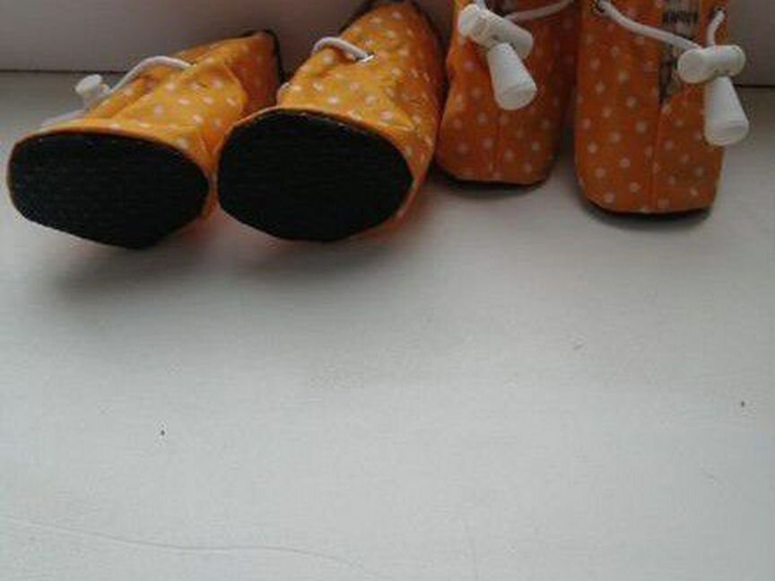 Обувь для маленьких собак