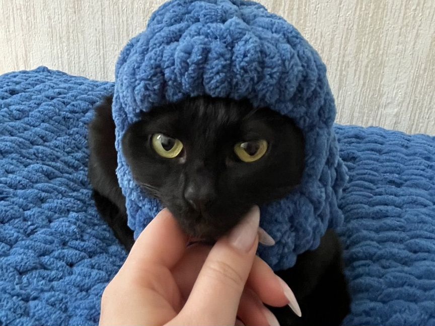 Балаклава для кота (шапка)