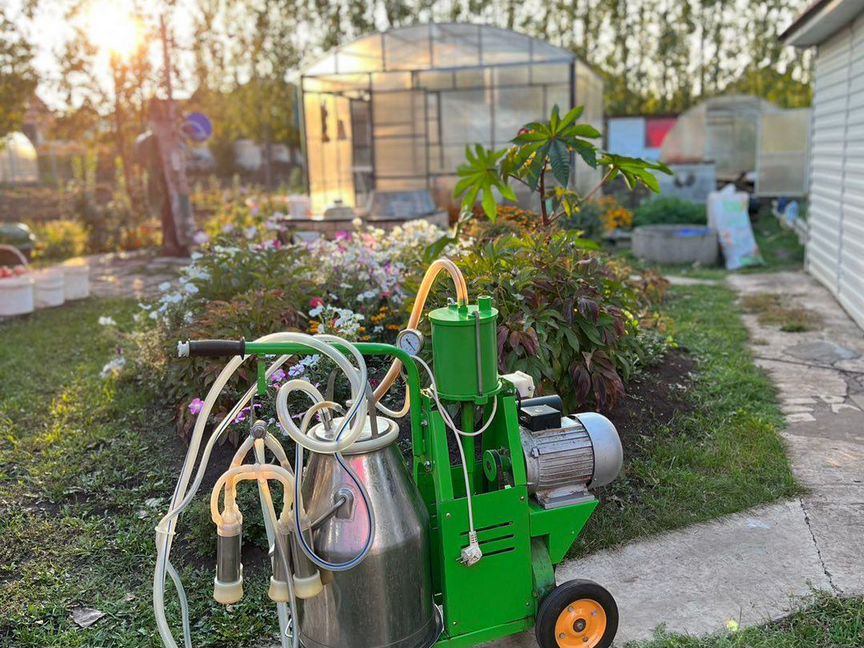 Доительный аппарат