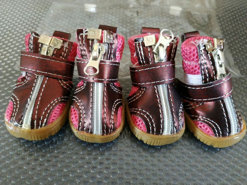 Ботиночки для собак