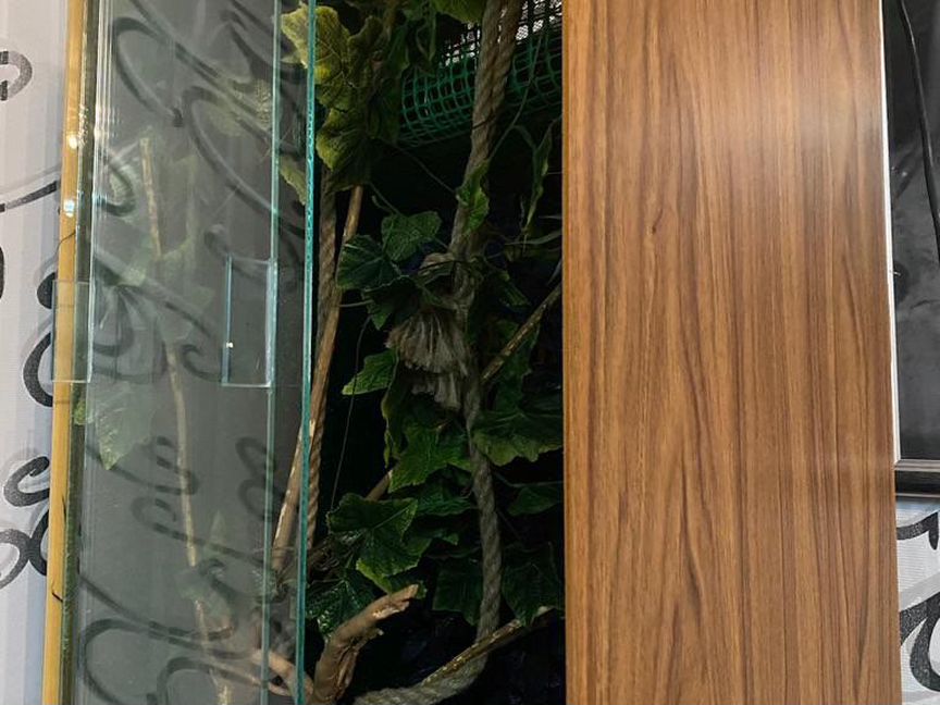 Террариум для рептилий