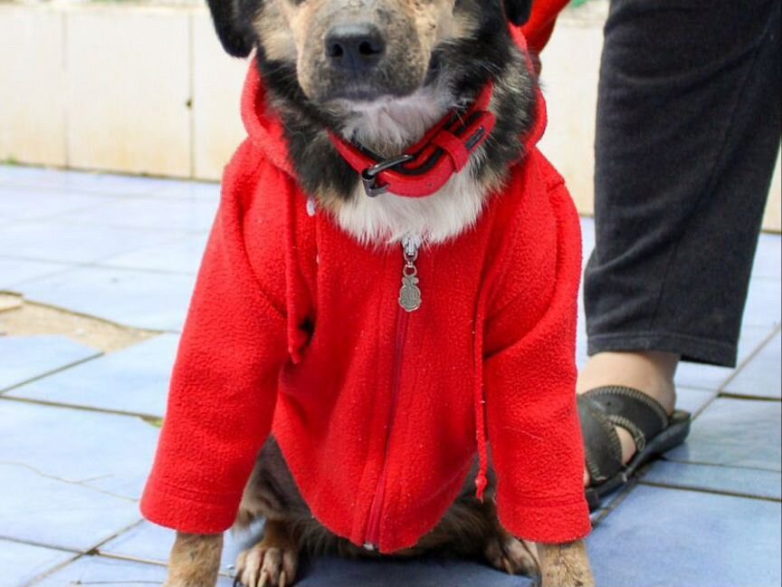 Ника не надеется ни на что. но вдруг