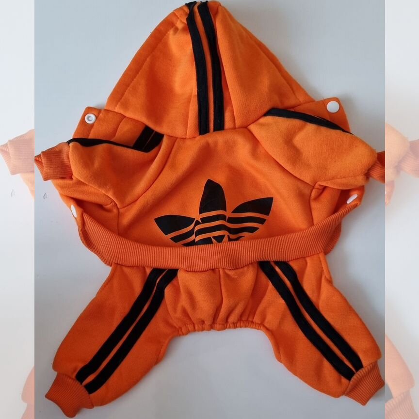 Вещи на очень мелкого той терьера бу