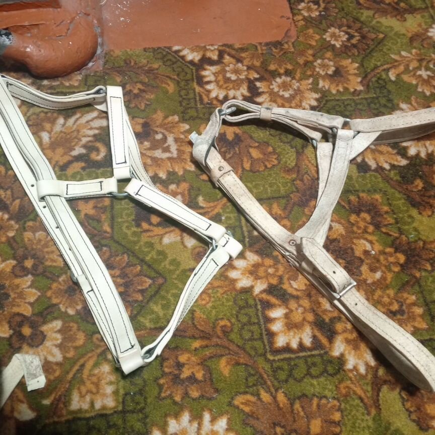 Недоуздок для лошади