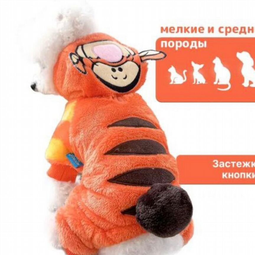 Одежда для собак мелких пород
