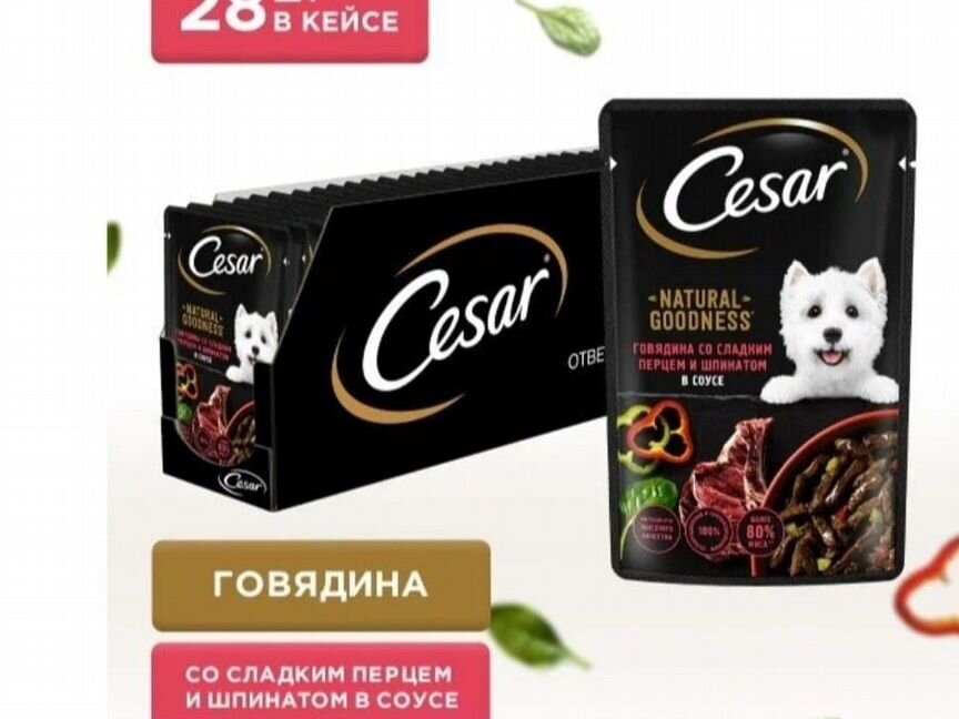 Корм для собак