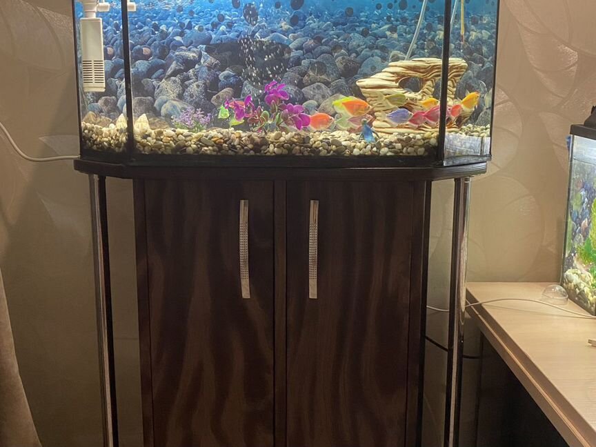 Аквариум с рыбками