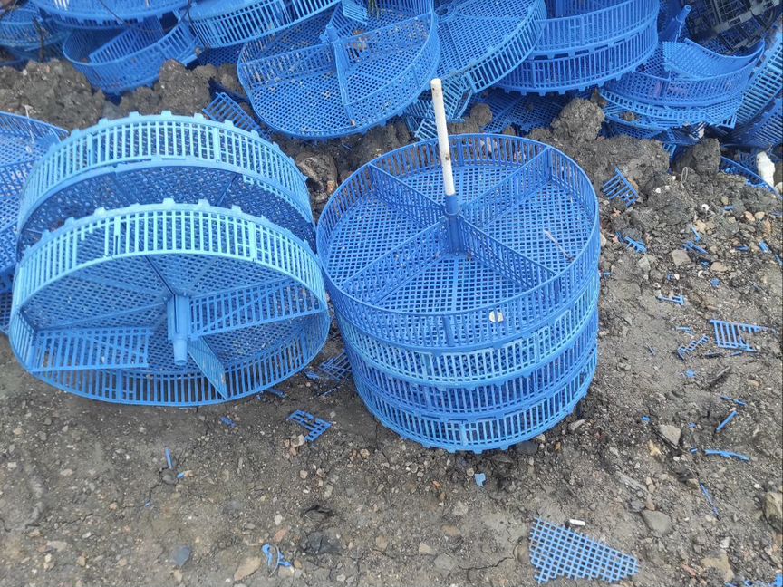 Кормушка для устриц