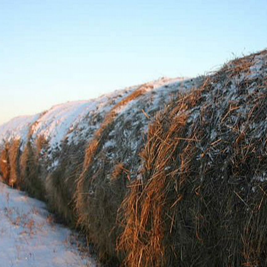 Сено в рулонах