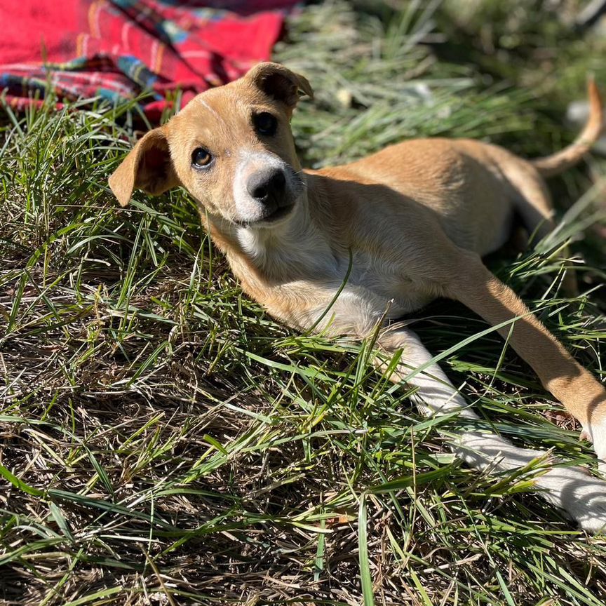 Мы ждем чуда