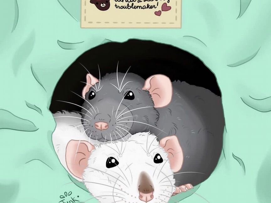 Гамаки, домики, лежанки для крыс и мелких зверьков