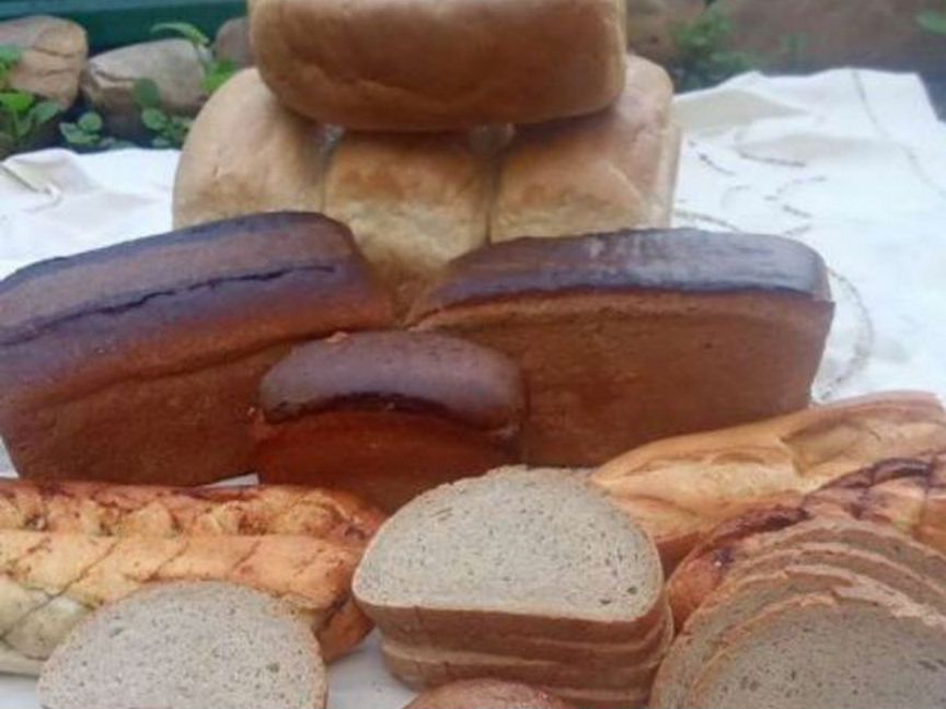 Хлеб для птиц и животных