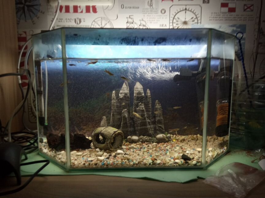 Аквариум с рыбками