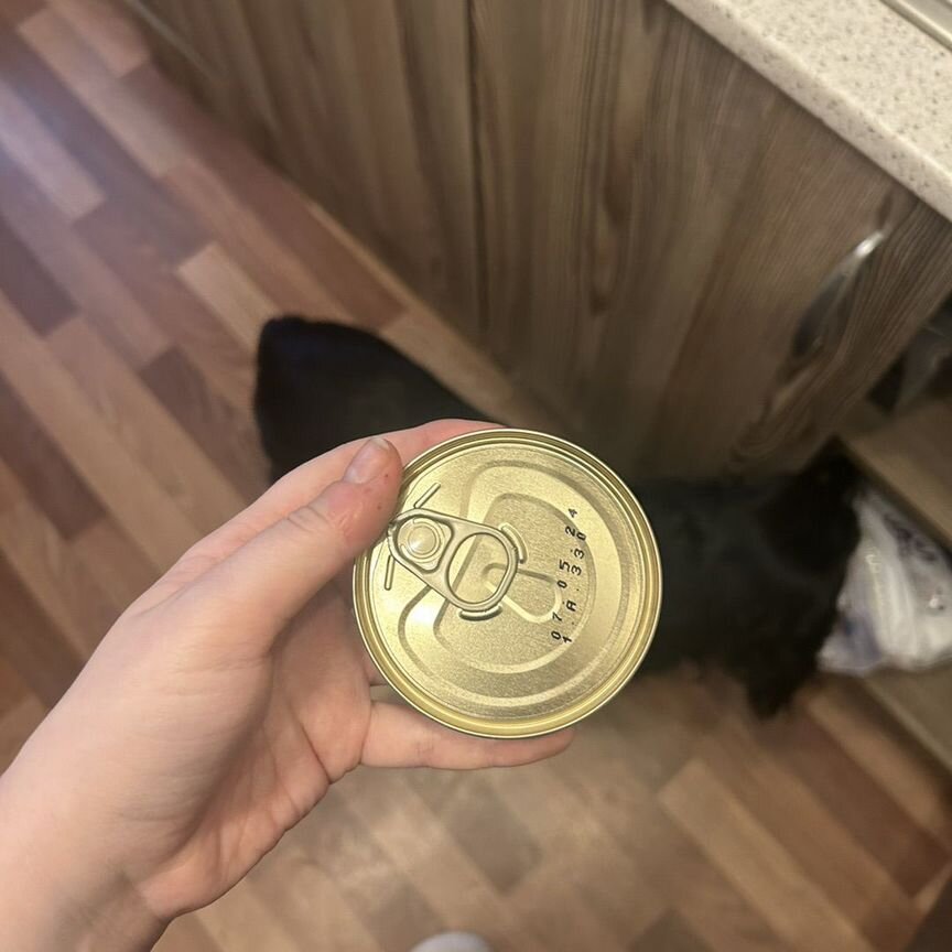 Корм для Ольчика