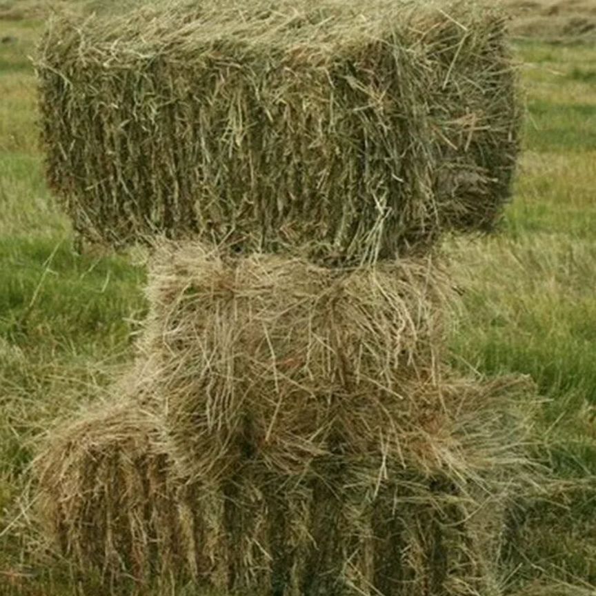 Сено