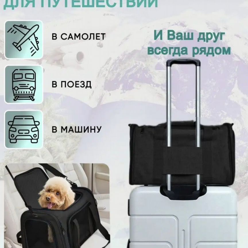 Прокат