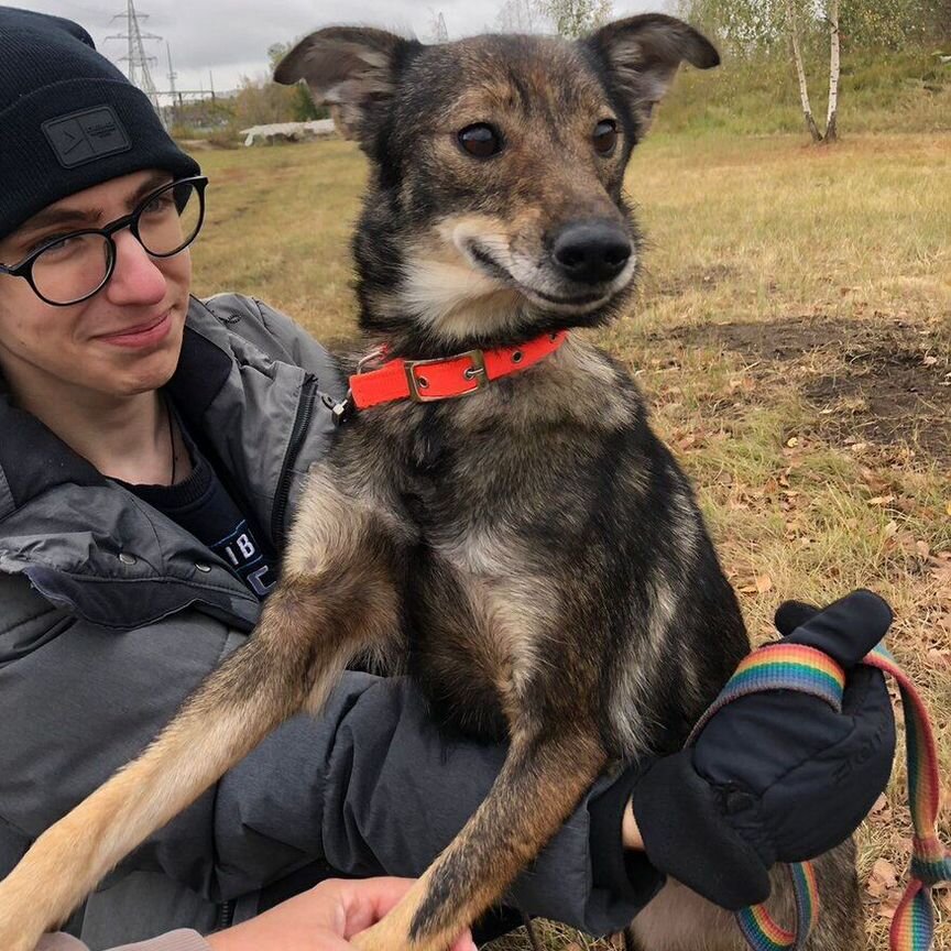 Маленькая собачуля в поисках мам и пап