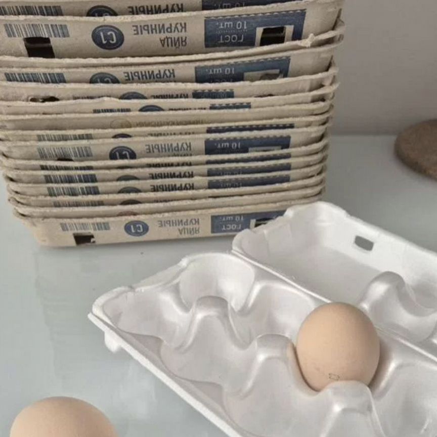 Лоток для куриных яиц