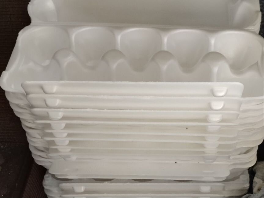 Клетки из под яиц