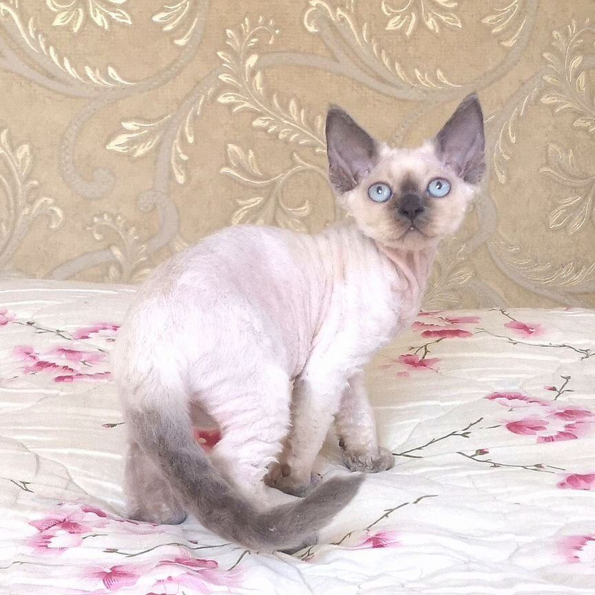 Милая крошка