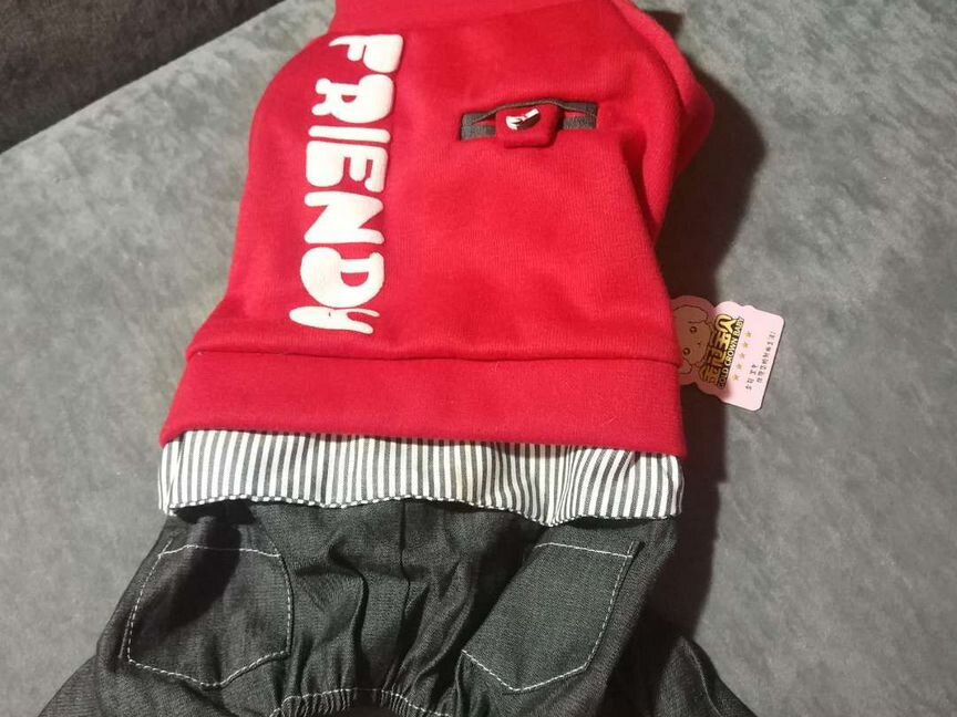 Одежда для маленьких собак