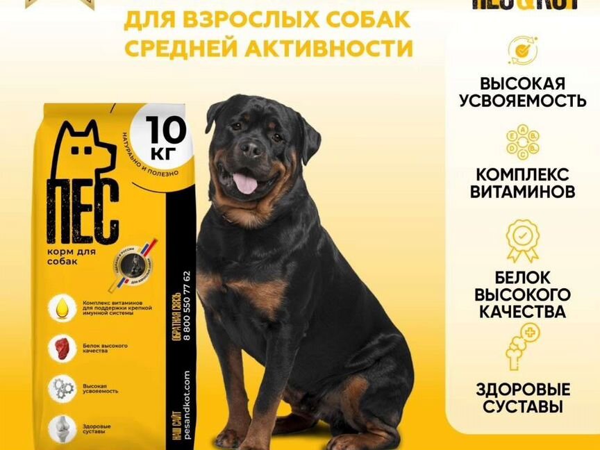 Сухой корм для собак