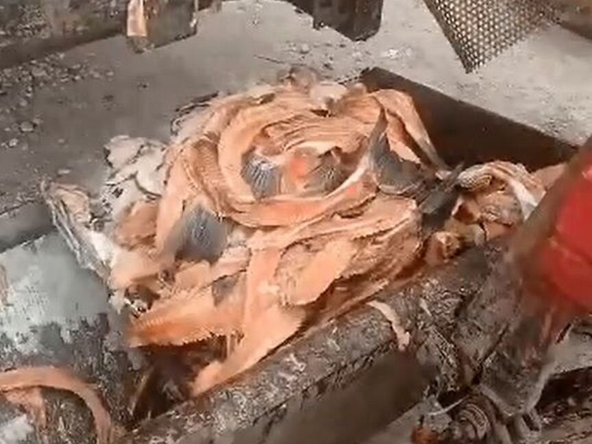 Рыбные отходы Бесплатно