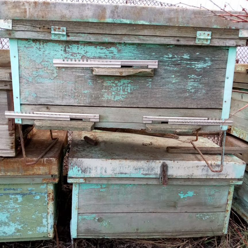 Улики для пчел